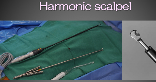 MICS CABGで右の内胸動脈を使うこと | | 心臓血管外科医 菊地慶太の手術日記